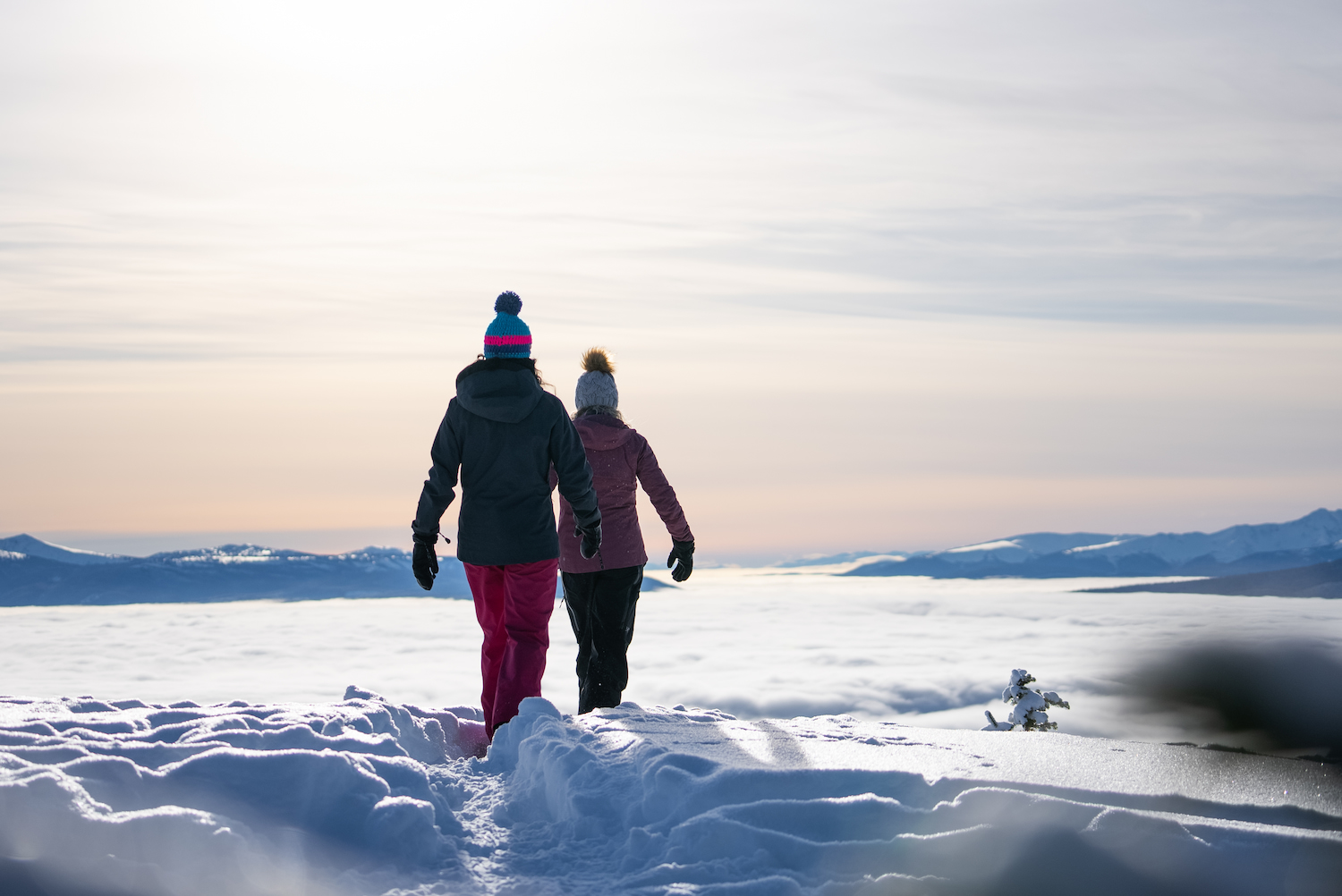 Fly to Smithers, land in Hudson Bay Mountain powder | SnowSeekers