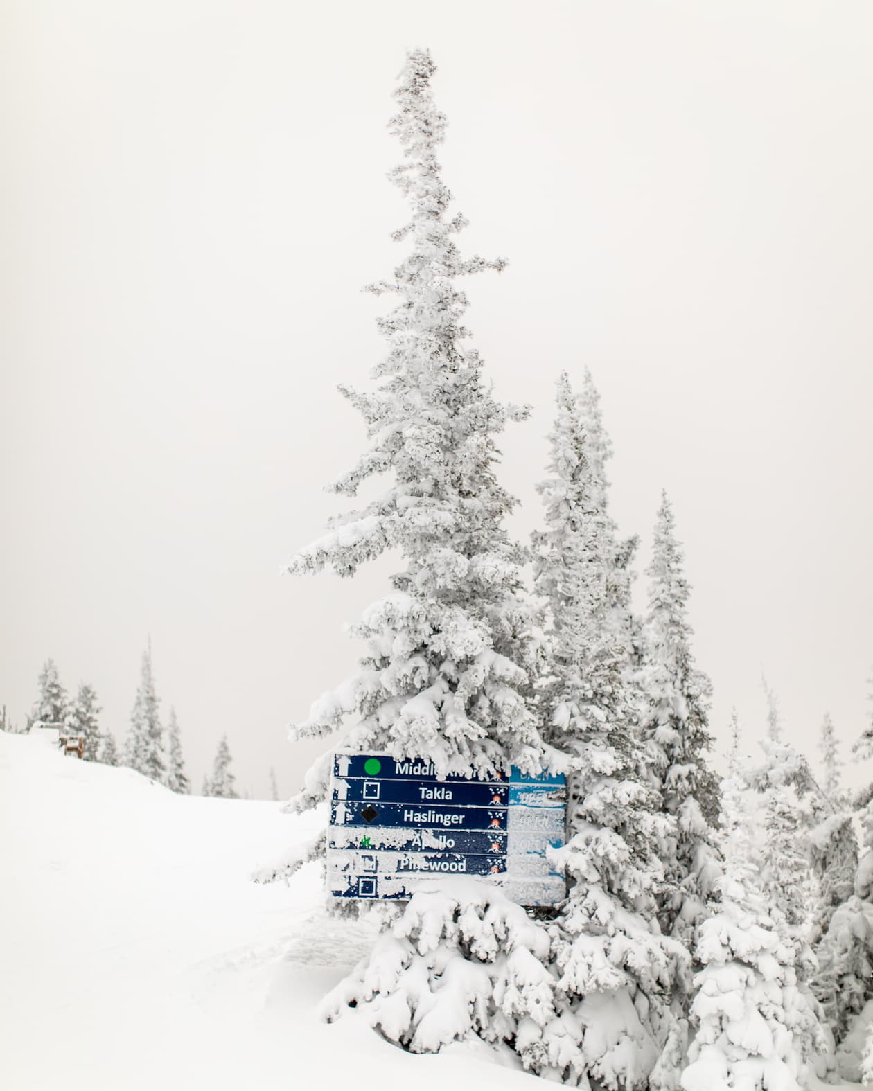 Finding the spirit of Murray Ridge on the slopes | SnowSeekers