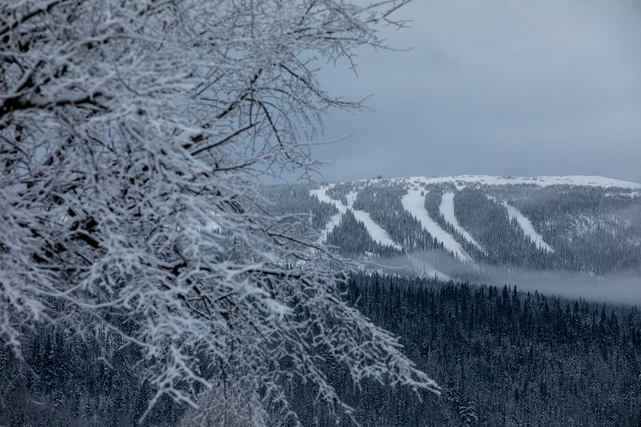 Smithers - 360 views, 365 days of adventure | SnowSeekers