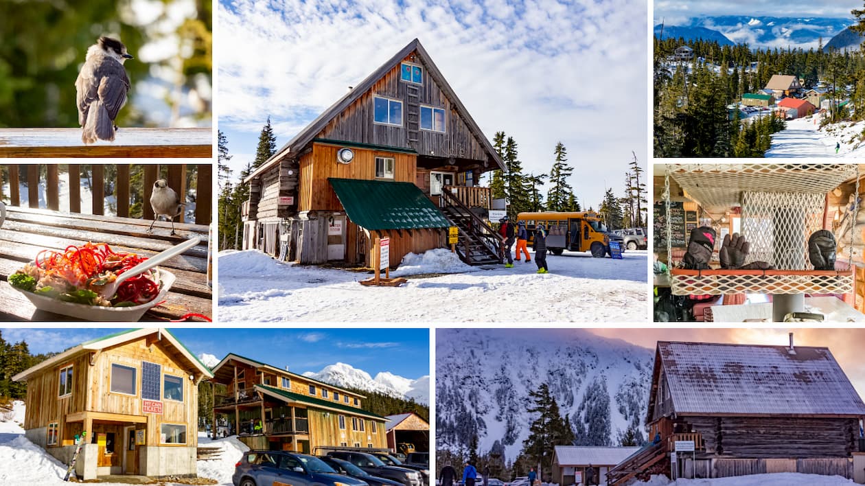 #RoadTrip2020: The ultimate Vancouver Island ski trip | SnowSeekers