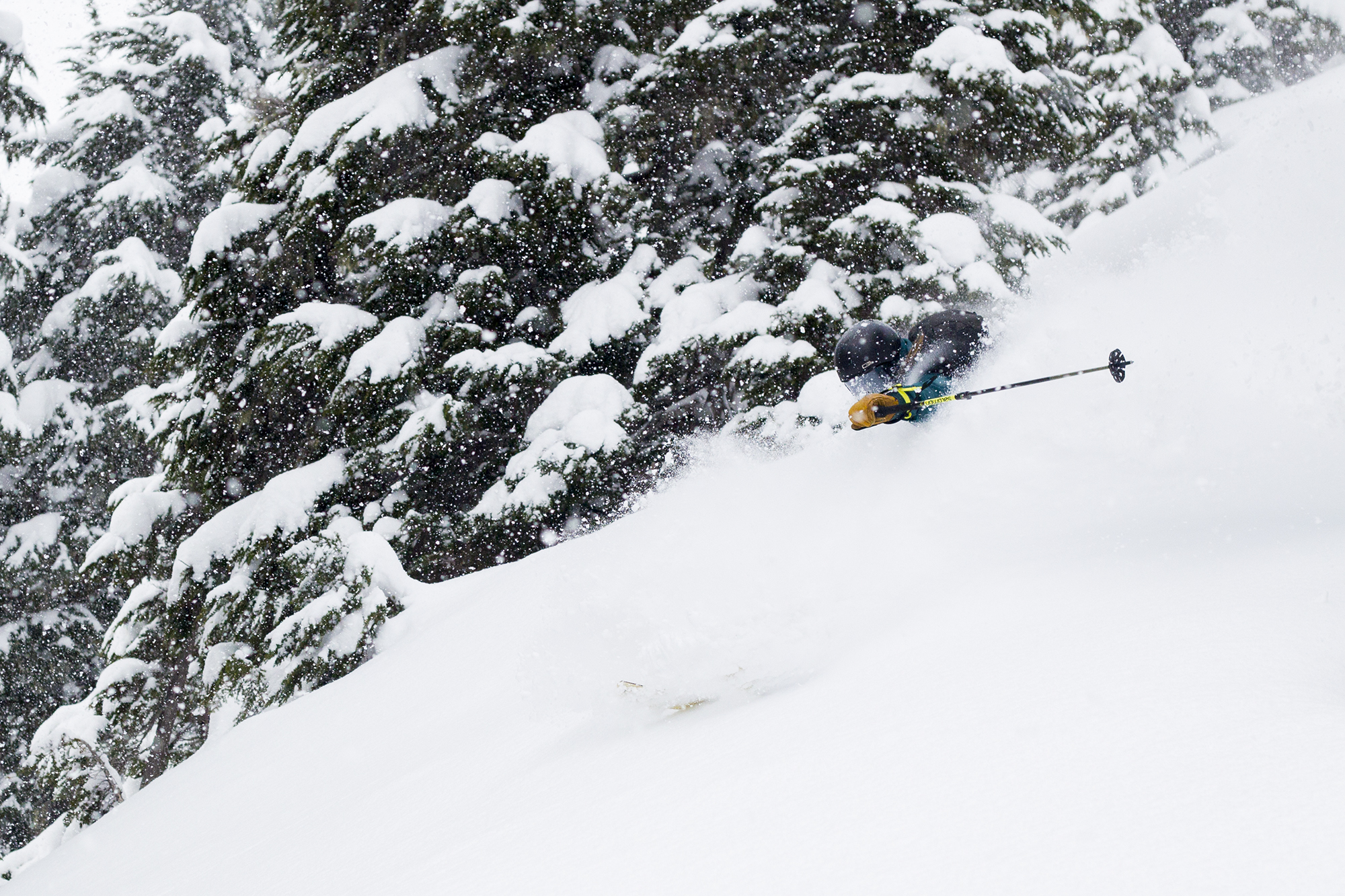 We can’t even count the many ways to enjoy Terrace in winter | SnowSeekers