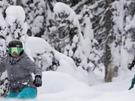 You’re gonna heart Powder King Mountain Resort | SnowSeekers