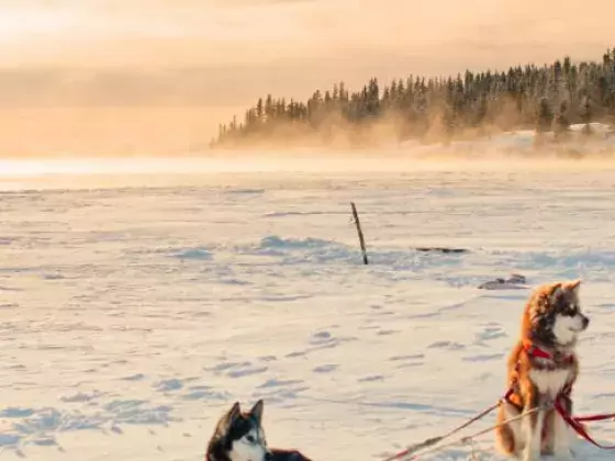 Six winter activities not to miss in Fort McMurray | SnowSeekers