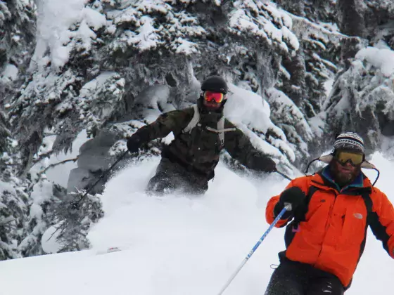 Why Powder King is Tops | SnowSeekers