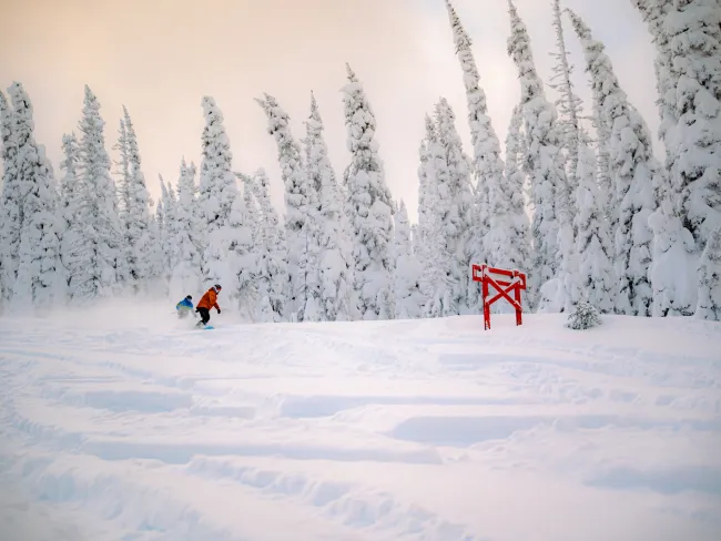 Ski Powder King, it's the King for a reason | SnowSeekers