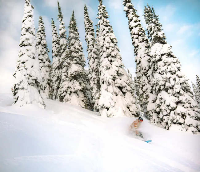Ski Powder King, it's the King for a reason | SnowSeekers